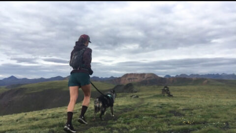 Training Planz | Higher Running